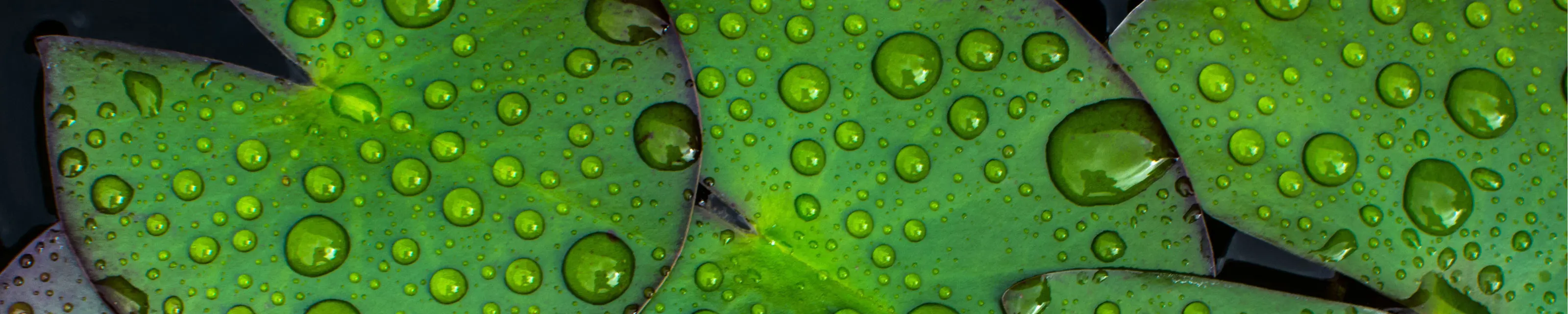 Environmental Compliance Applications | Source Water Protection