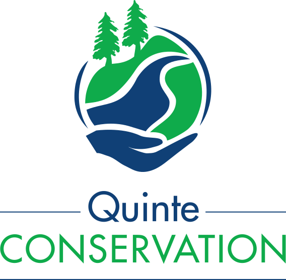 Commemorating Walkerton | Source Water Protection